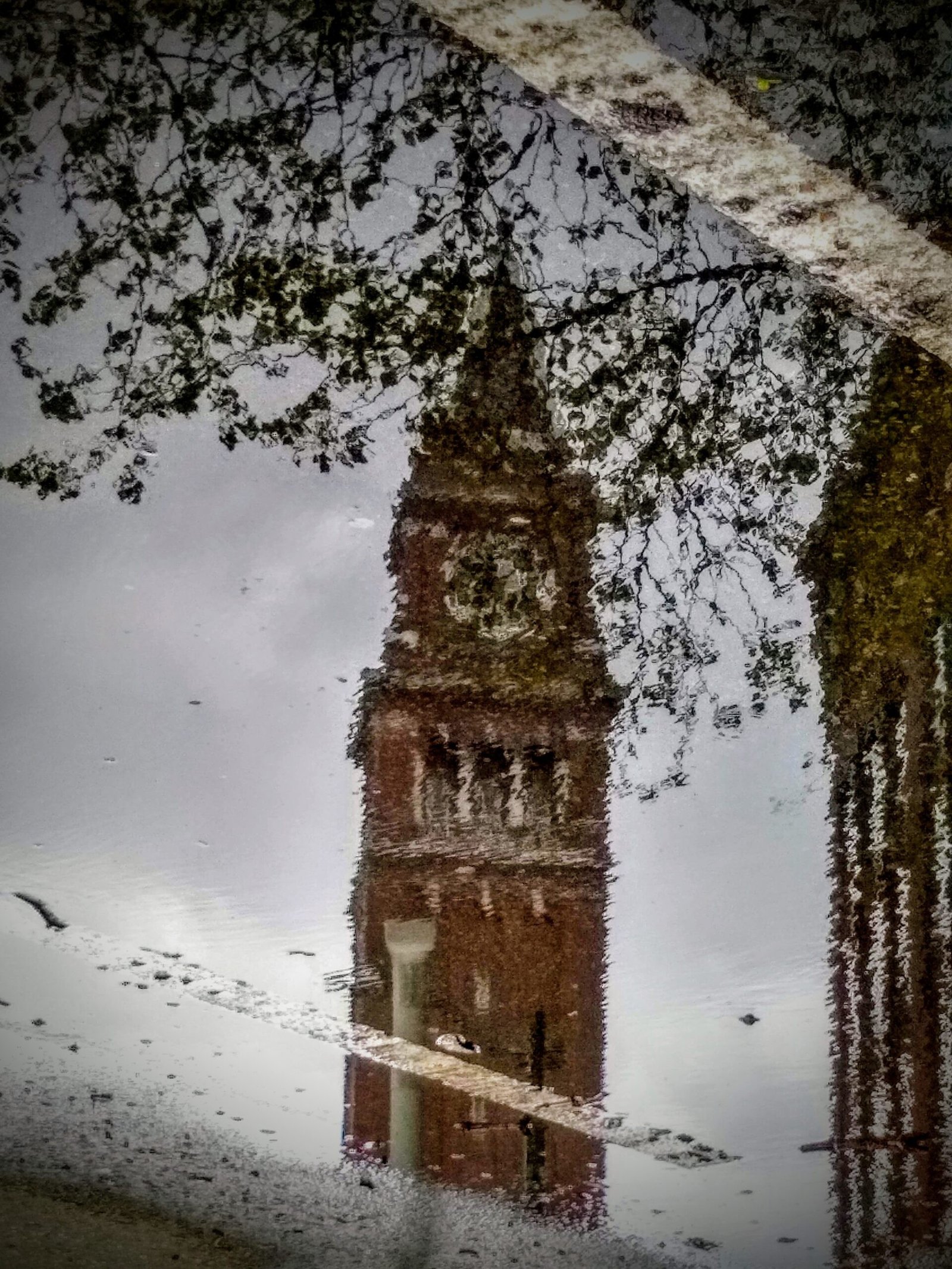 Photography #1298 from King Street Station Clock Tower - Picture Seattle